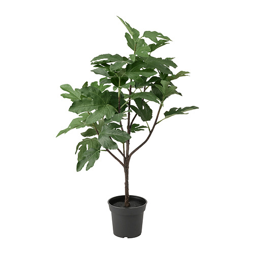 FEJKA artificial potted plant in/outdoor bamboo - IKEA