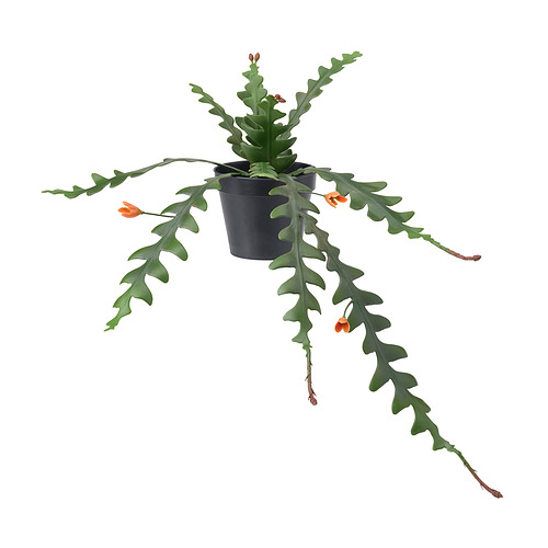 FEJKA artificial potted plant in/outdoor hanging/eucalyptus - IKEA