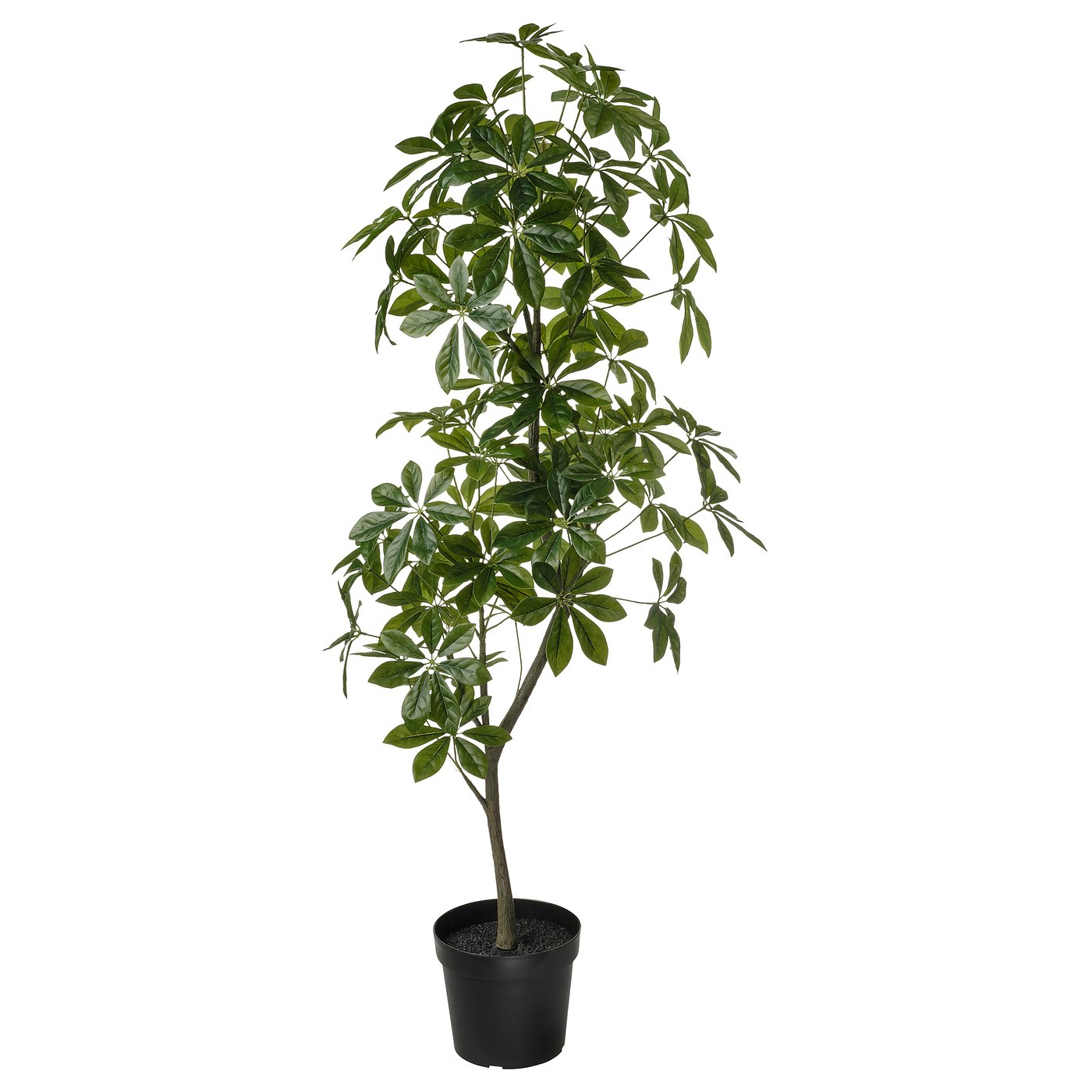 FEJKA artificial potted plant in/outdoor Umbrella tree - IKEA
